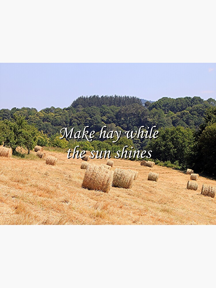 "Make hay while the sun shines hay bales, Spain" Poster by FranWest ...