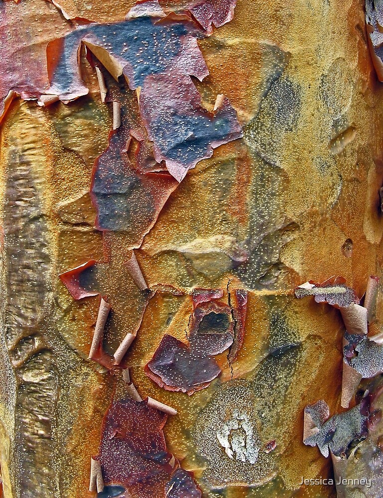 "Paper Bark Abstract" by Jessica Jenney | Redbubble