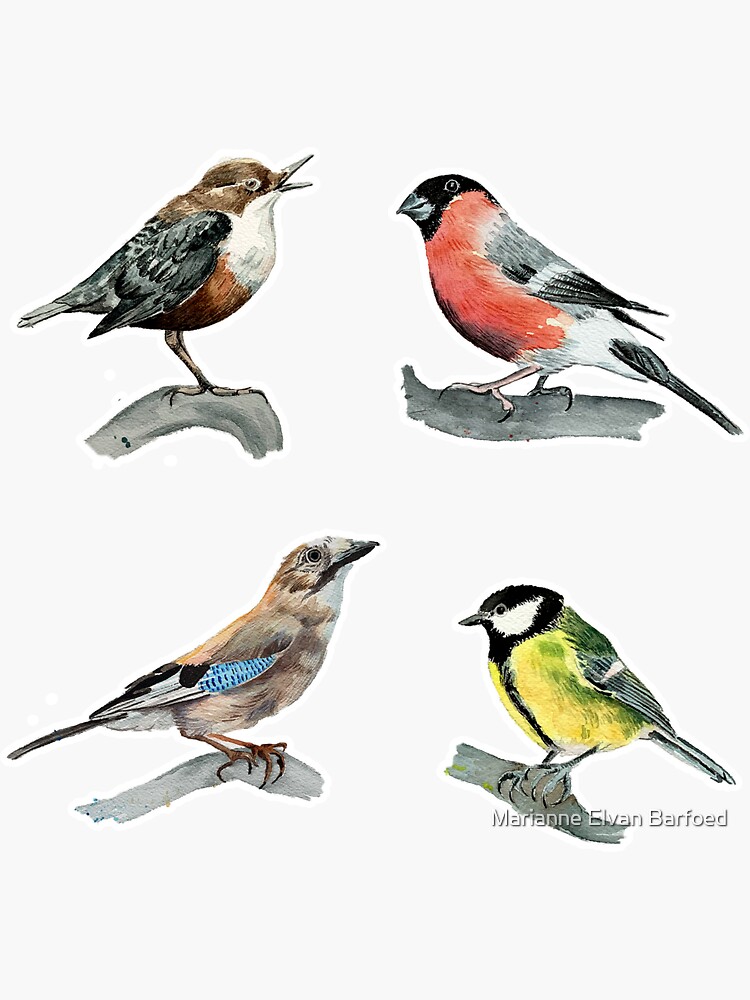 Dompapp Merch & Gifts for Sale | Redbubble