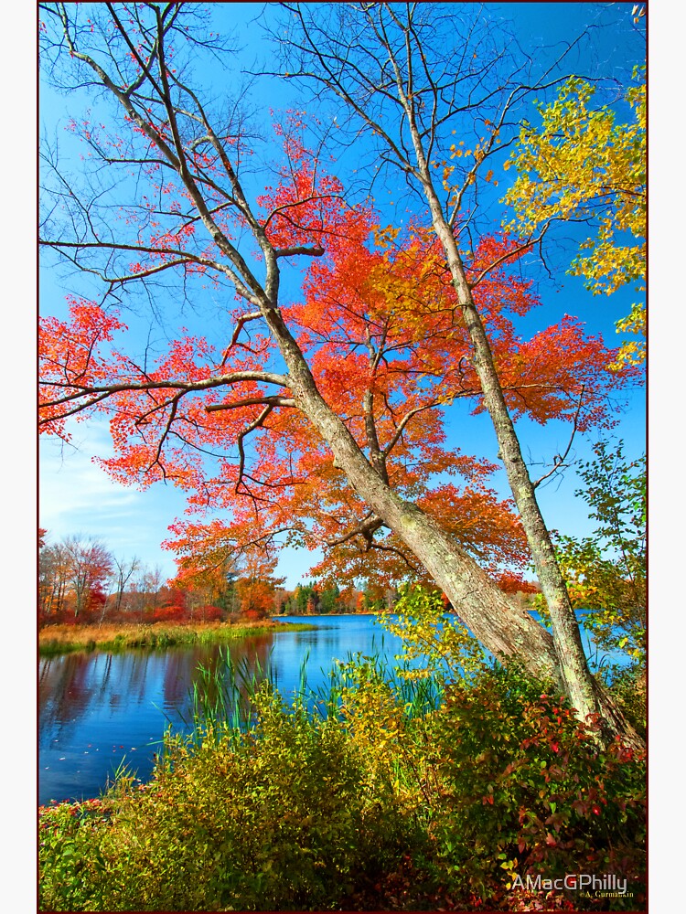 "Autumn, Brady's Lake, Pocono Mountains, PA" Sticker for Sale by ...