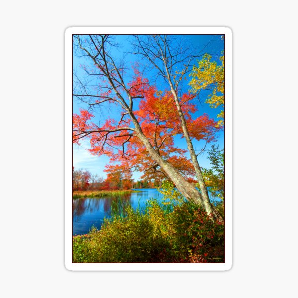 "Autumn, Brady's Lake, Pocono Mountains, PA" Sticker for Sale by ...