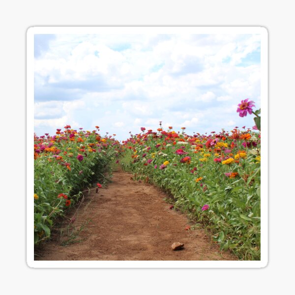 "Sentinel" Sticker for Sale by mahaloyall | Redbubble