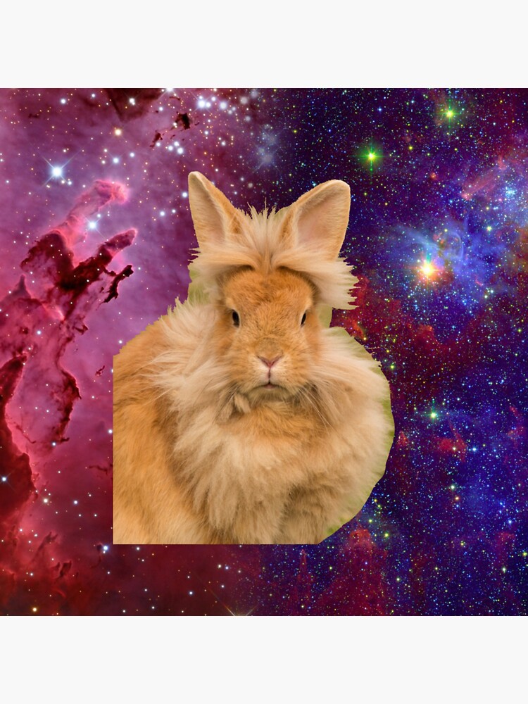 "Cosmic rabbit in space" Sticker by Drewz87 | Redbubble