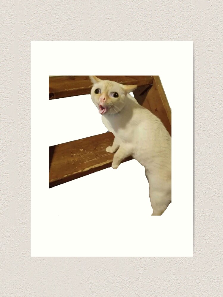 "Cat Meme" Art Print by BeachHouseArt | Redbubble