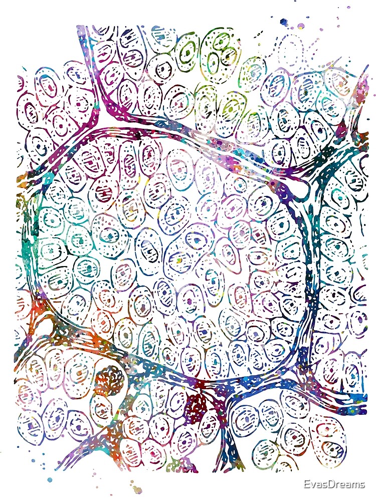 Alveolar Soft Part Sarcoma