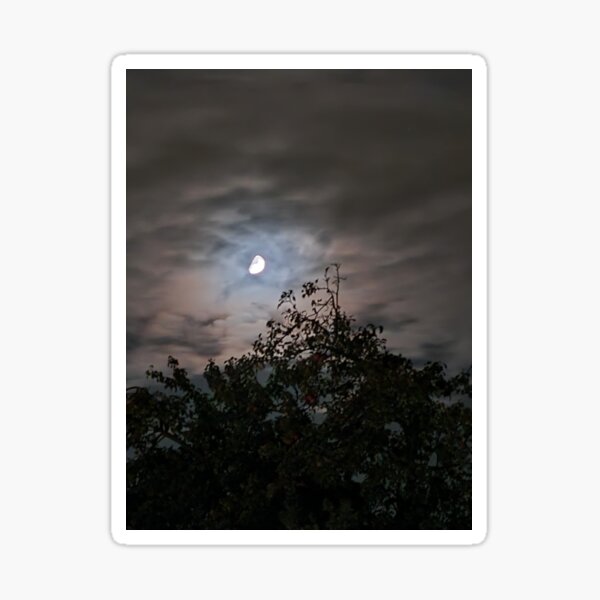 "Moonlight" Sticker by Anderson-NE | Redbubble