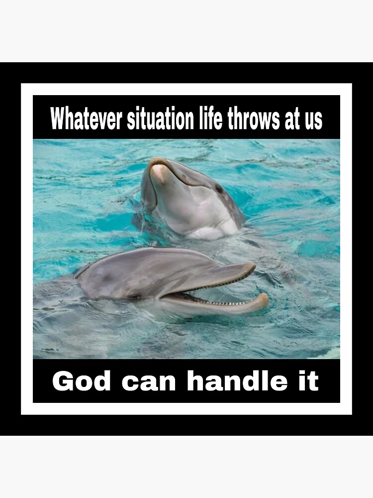 "Dolphin Motivational Merch" Sticker for Sale by Pet-cast | Redbubble