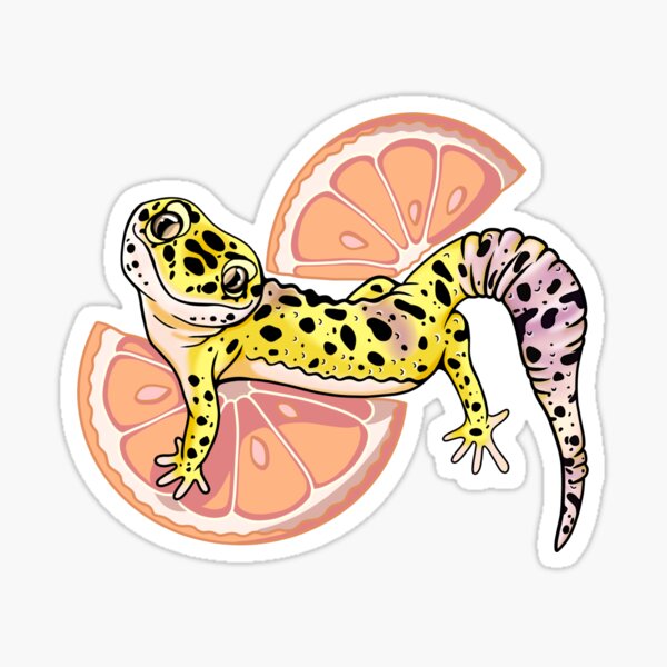 "Leopard Gecko with Fruit" Sticker by InkedMongoose | Redbubble
