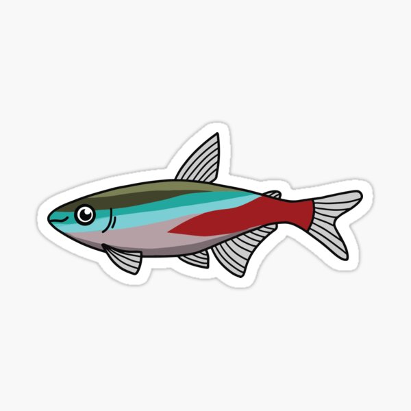 Aquadesk Shop | Redbubble