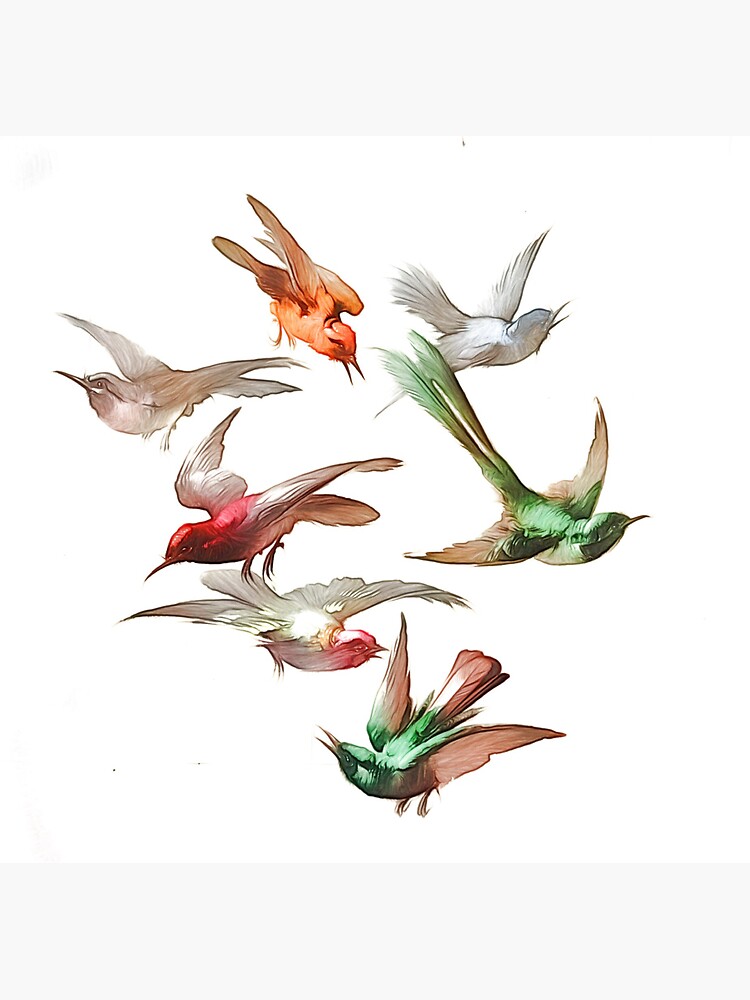 "Birds" Sticker by MaisiePatterns | Redbubble