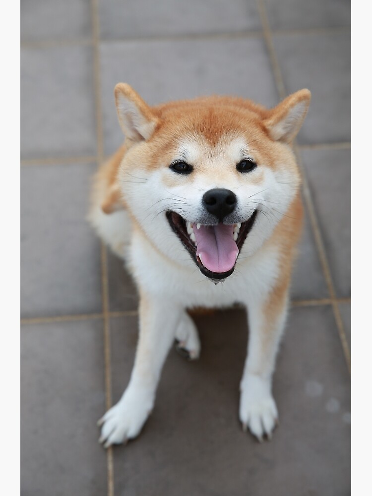 "happy scratch" Poster by malina | Redbubble