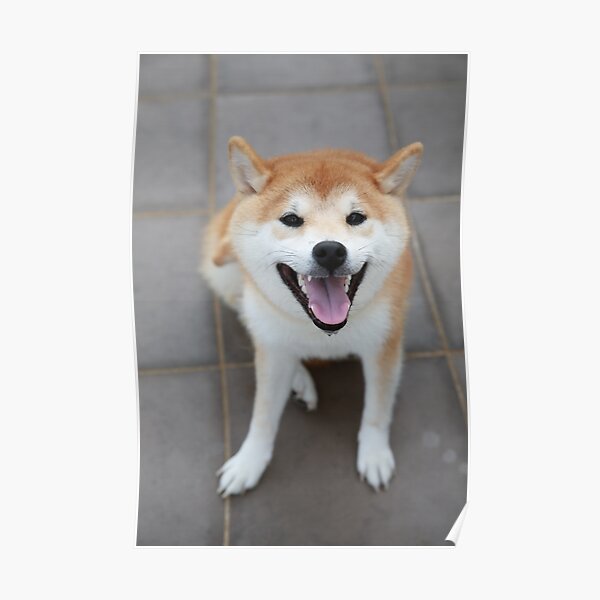 "happy scratch" Poster by malina | Redbubble