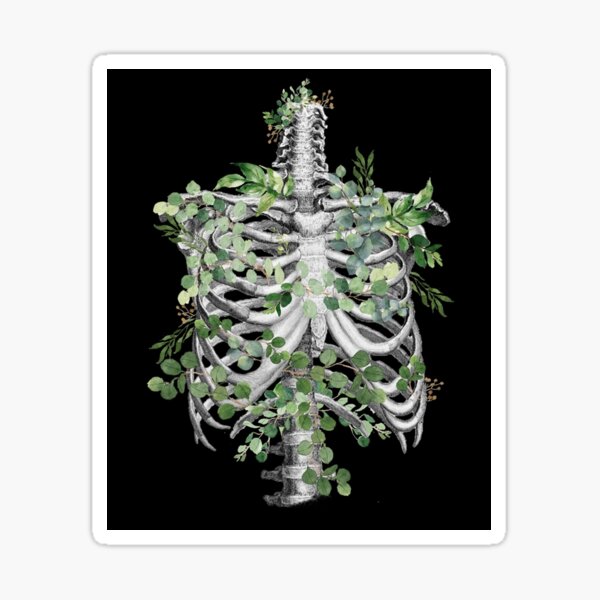 "ribcage,rib cage" Sticker for Sale by rlillerkeith | Redbubble