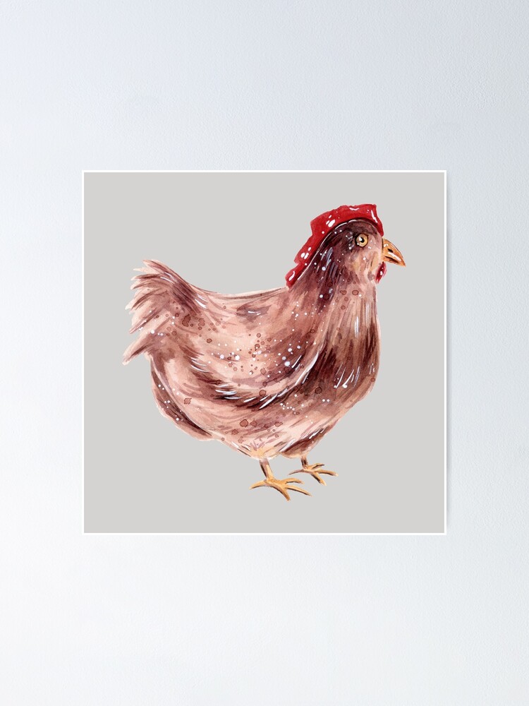 "Chicki - Watercolour Illustration" Poster for Sale by patti2905 ...