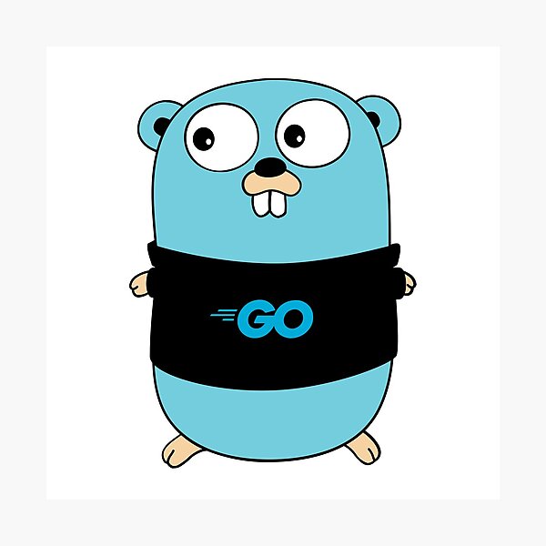 "Gopher - Golang Mascot in a black hoodie" Photographic Print for Sale ...