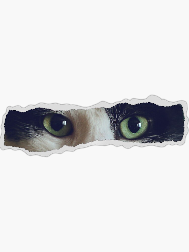 "Cat eyes Sticker" Sticker for Sale by ArtsAmusing | Redbubble