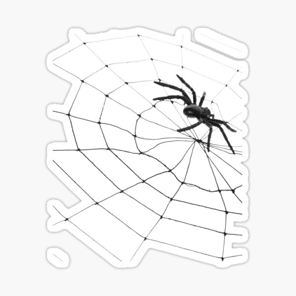 "spider web" Sticker by inspireddezigne | Redbubble