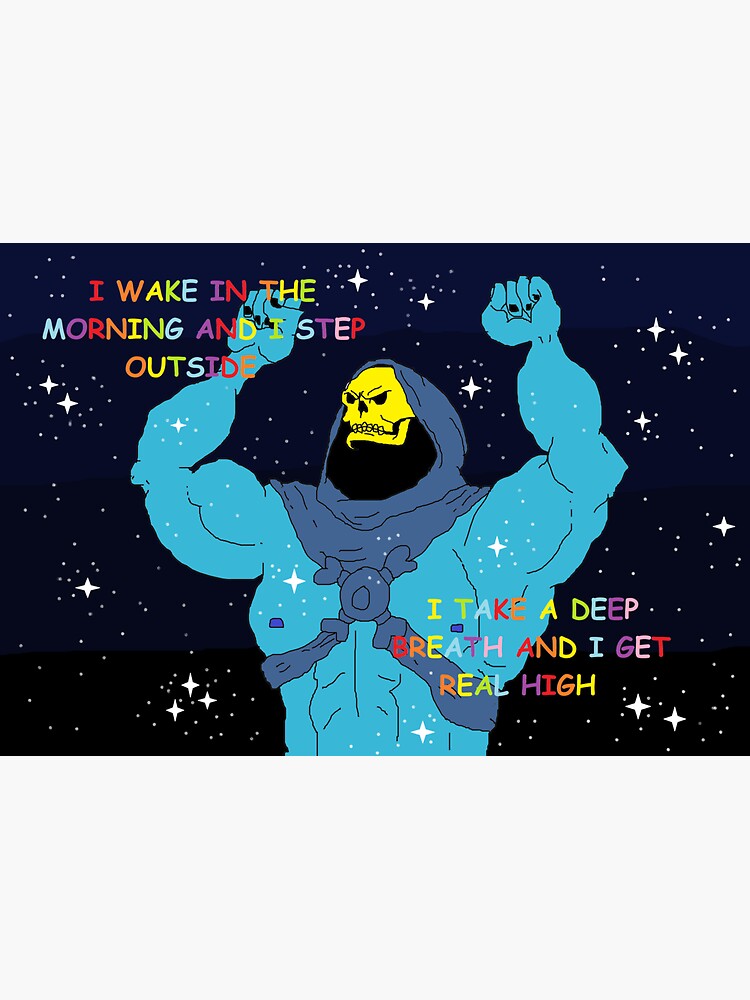 "Skeletor" Sticker for Sale by notono | Redbubble