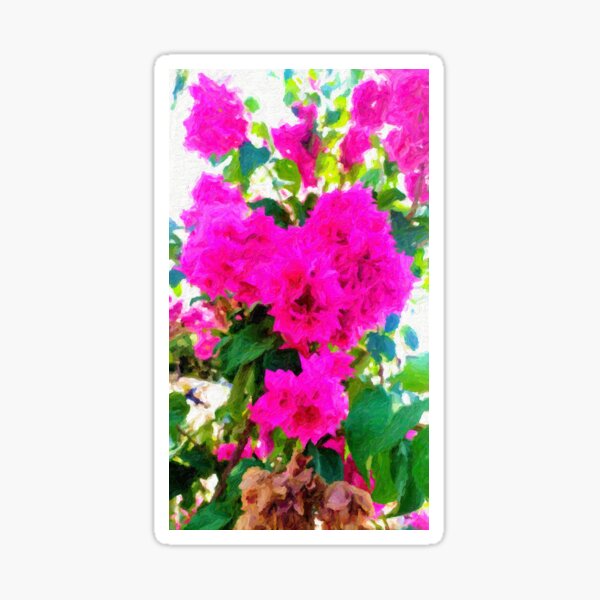 "My vision for Brazil - Exuberant Nature On Canvas 63" Sticker for Sale ...