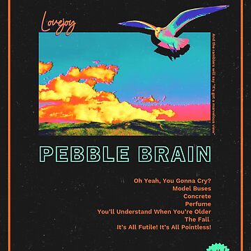 "pebble brain" Sticker for Sale by sokoprints | Redbubble