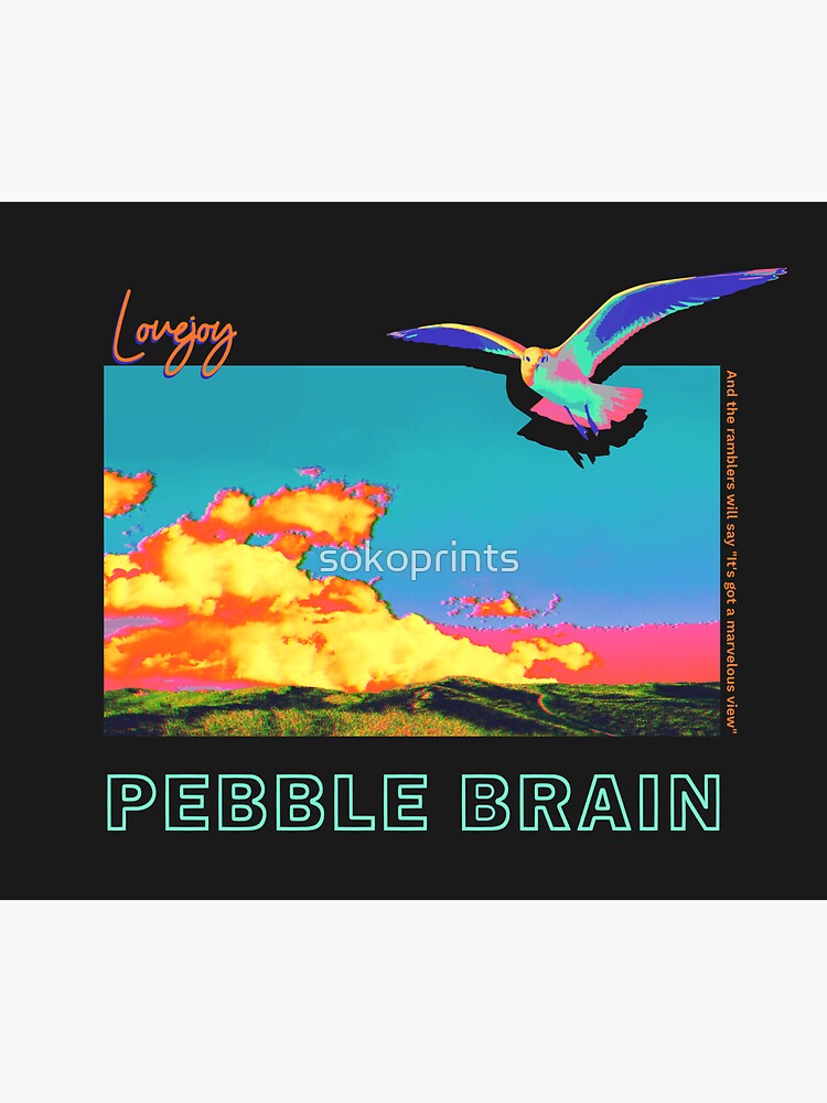 "pebble brain" Sticker for Sale by sokoprints | Redbubble