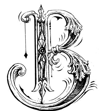 "Ornamental letter B" Poster for Sale by Cretalyst | Redbubble