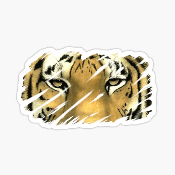 "Tiger eyes, tiger" Sticker by LaraPlume | Redbubble