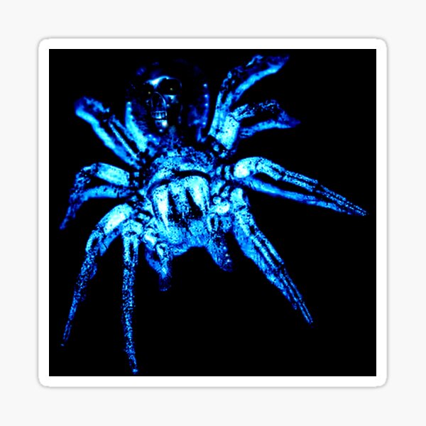 "NEON BLUE SPIDER" Sticker for Sale by Stephen Stone | Redbubble