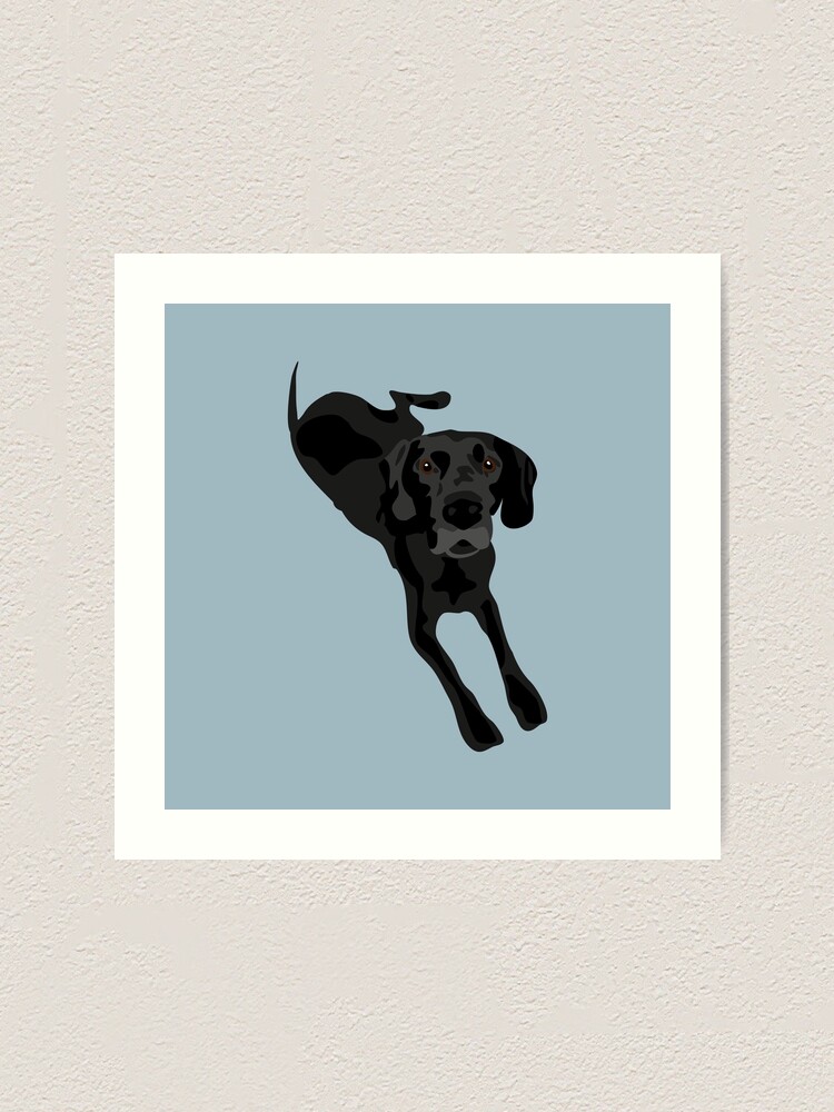 "Louie" Art Print for Sale by VieiraGirl | Redbubble