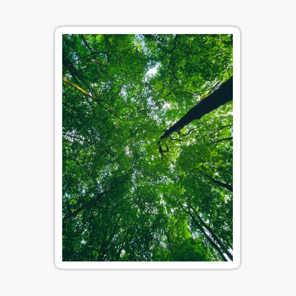 "What if... " Sticker by Be-lie-ve | Redbubble