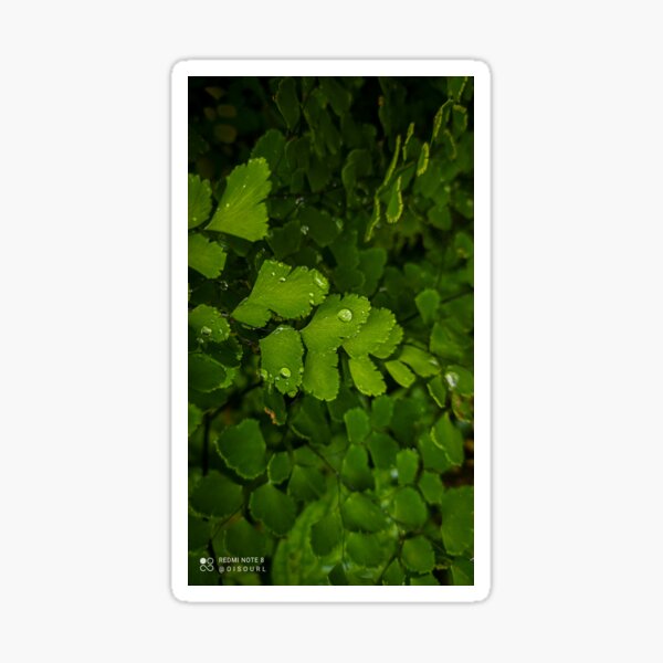 "Drew Drop" Sticker by oisourl | Redbubble