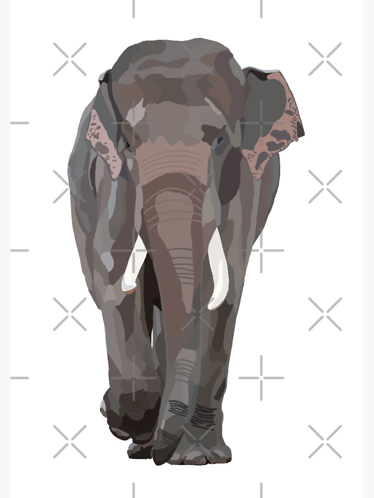 "Aung Bo - Chester Zoo Asian elephant" Sticker for Sale by GxKPrints ...