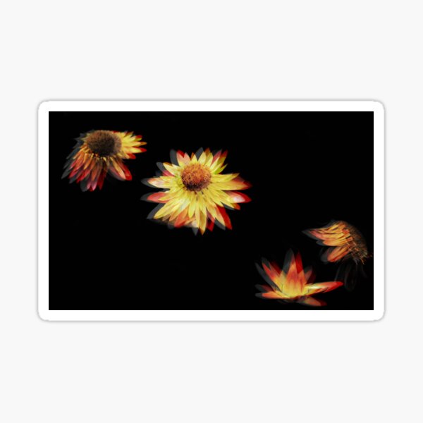 "Trippy Daisy " Sticker for Sale by aubrierodheim | Redbubble