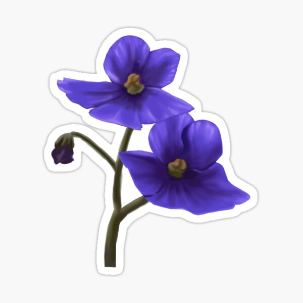 "Violet" Sticker for Sale by appoova | Redbubble