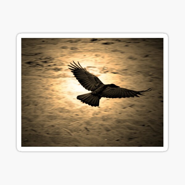 "Glowing Crow" Sticker for Sale by Redtara | Redbubble