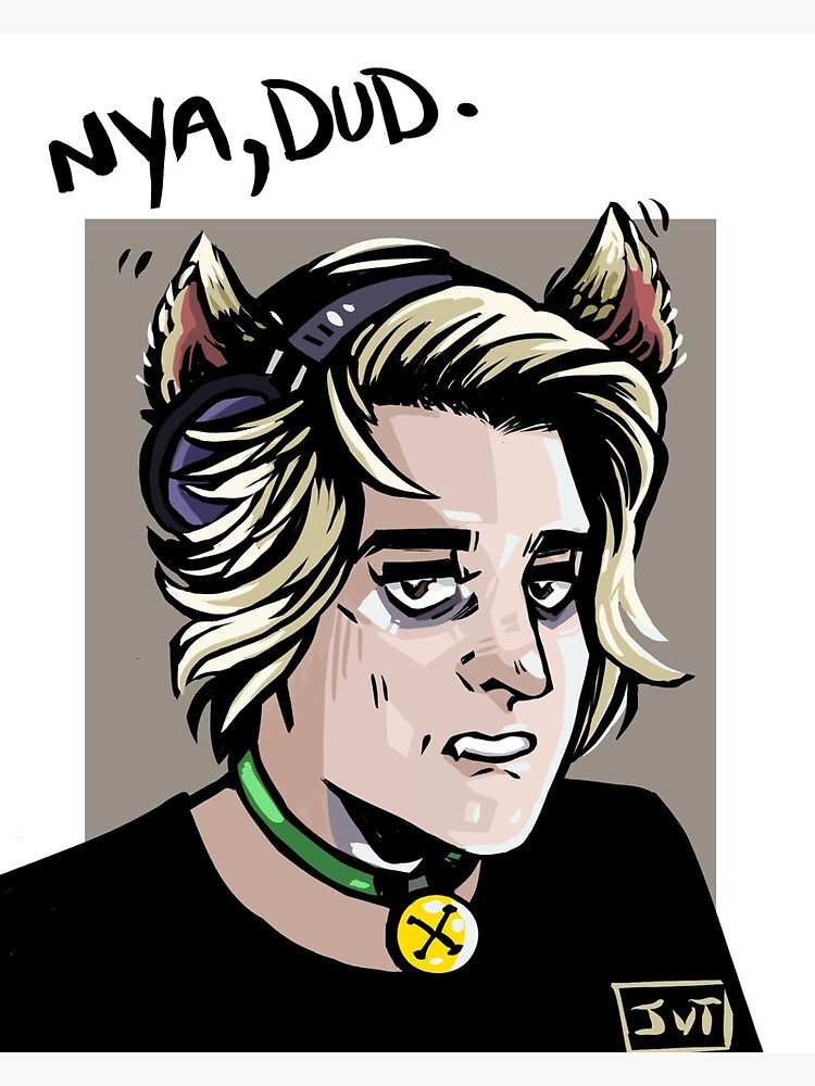 "Catboy xqc" Sticker for Sale by JVTart | Redbubble