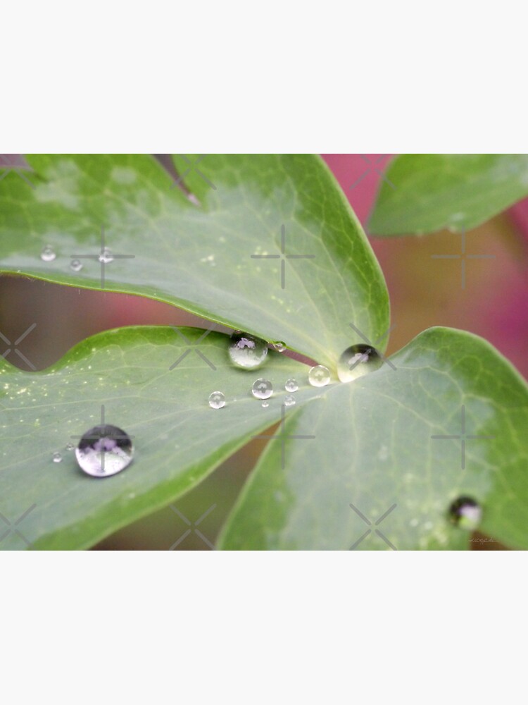 "Dew" Sticker for Sale by HectorCantres | Redbubble