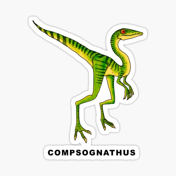 "Compsognathus" Sticker by lucamendieta | Redbubble