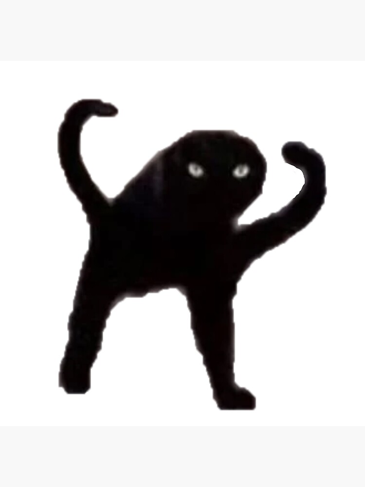 "Cursed Cat Meme | Funny Meme" Photographic Print for Sale by ...