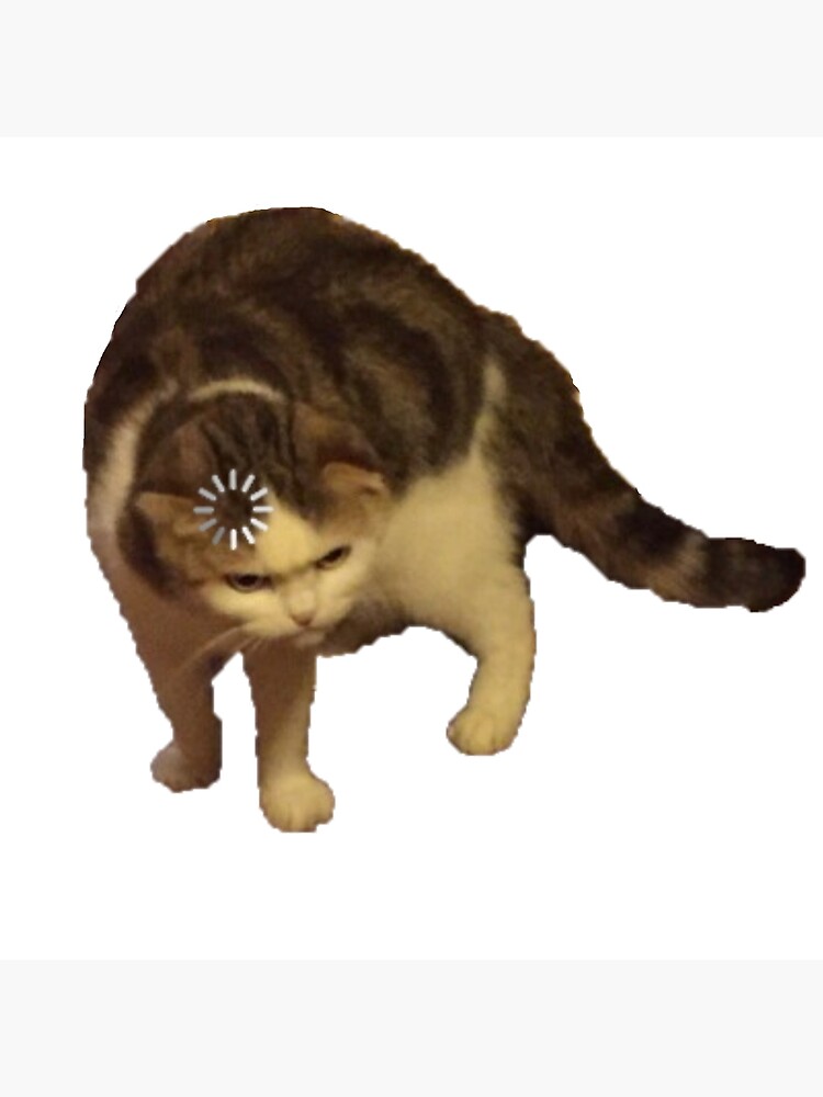 "Loading Cat Meme | Funny Meme" Poster by memeology69 | Redbubble