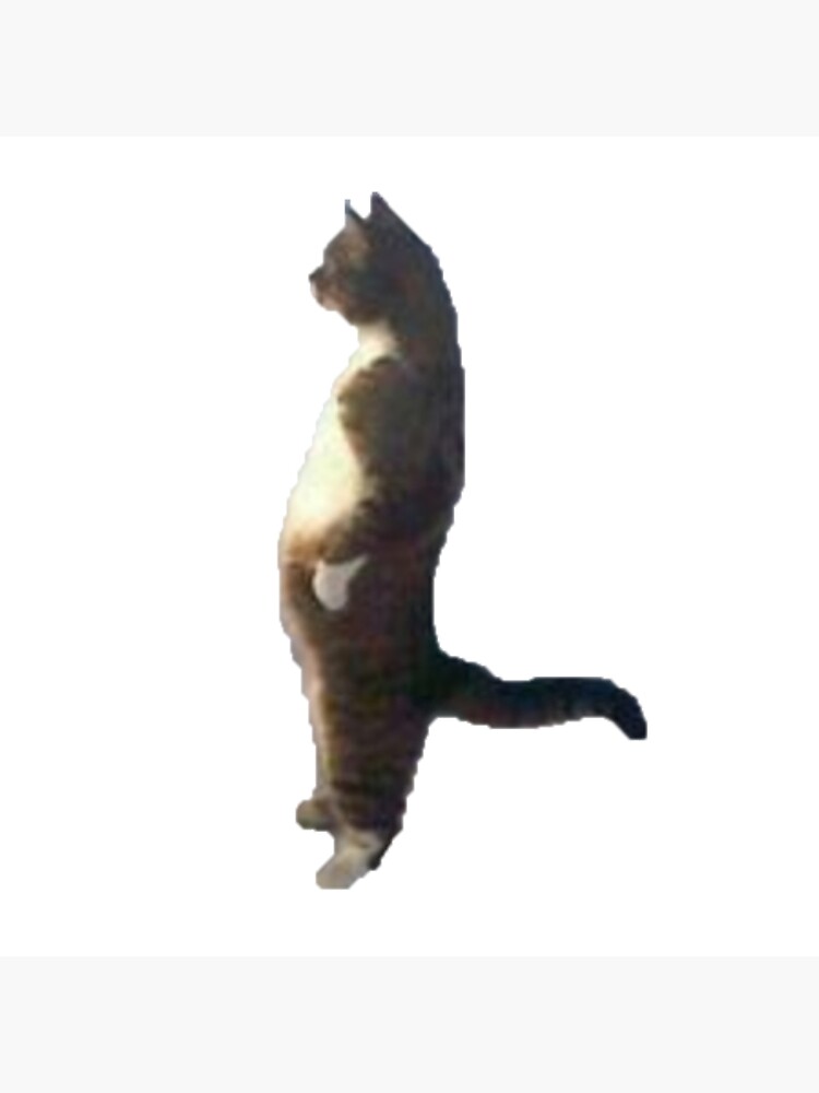 "Cat Standing | Funny Meme" Poster by memeology69 | Redbubble