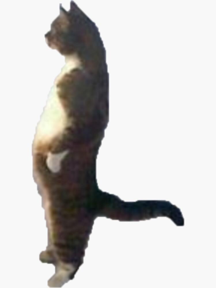 "Cat Standing | Funny Meme" Sticker for Sale by memeology69 | Redbubble