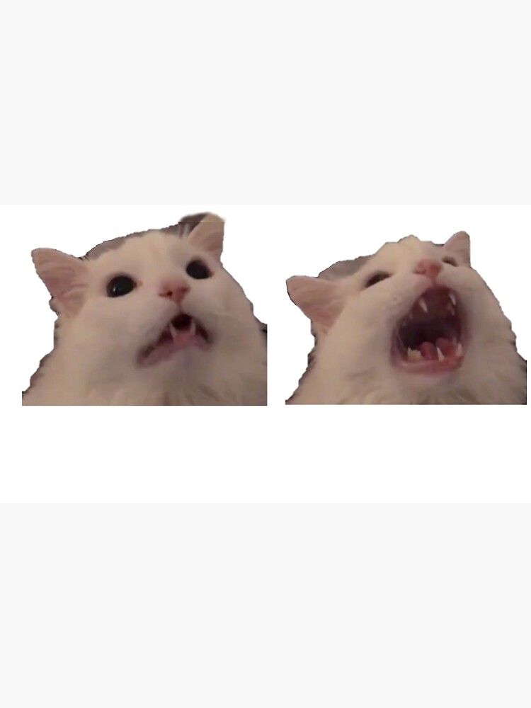 "Thurston Waffles Cat | Funny Meme" Poster by memeology69 | Redbubble