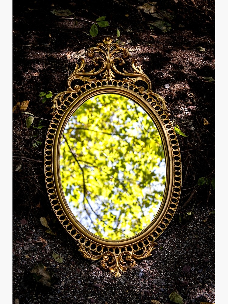 "Mirror in the woods" Poster for Sale by droo-design | Redbubble
