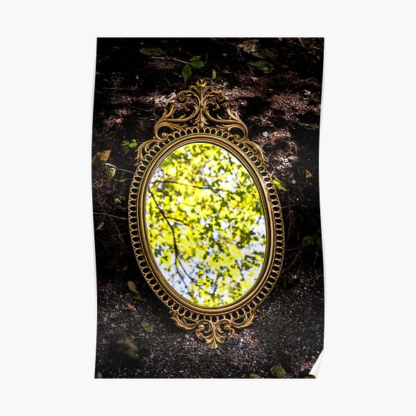 "Mirror in the woods" Poster for Sale by droo-design | Redbubble