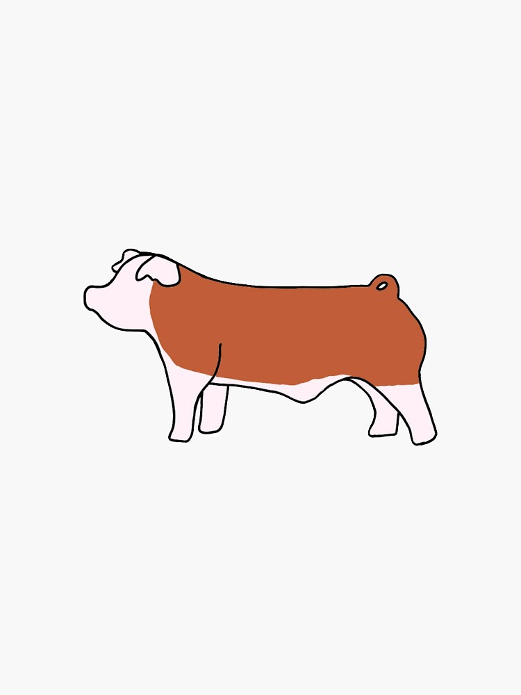 "Hereford Show Hog" Sticker for Sale by thepigshowmen | Redbubble