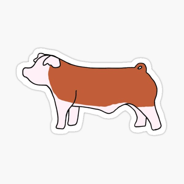 "Hereford Show Hog" Sticker for Sale by thepigshowmen | Redbubble