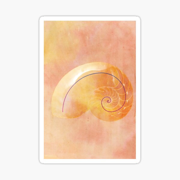 "Fibonacci Sequence" Sticker for Sale by wintermedia | Redbubble