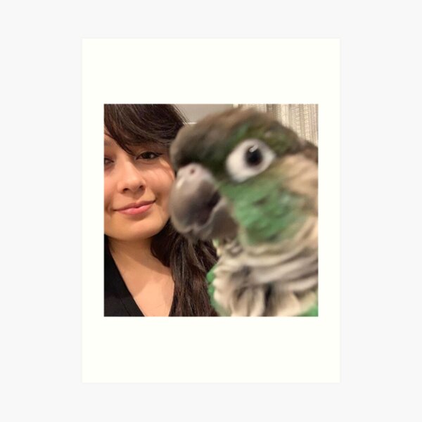 "Jaiden With Ari Jaiden Animations " Art Print by YesTeeDesign | Redbubble