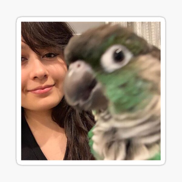 "Jaiden With Ari Jaiden Animations " Sticker for Sale by YesTeeDesign ...